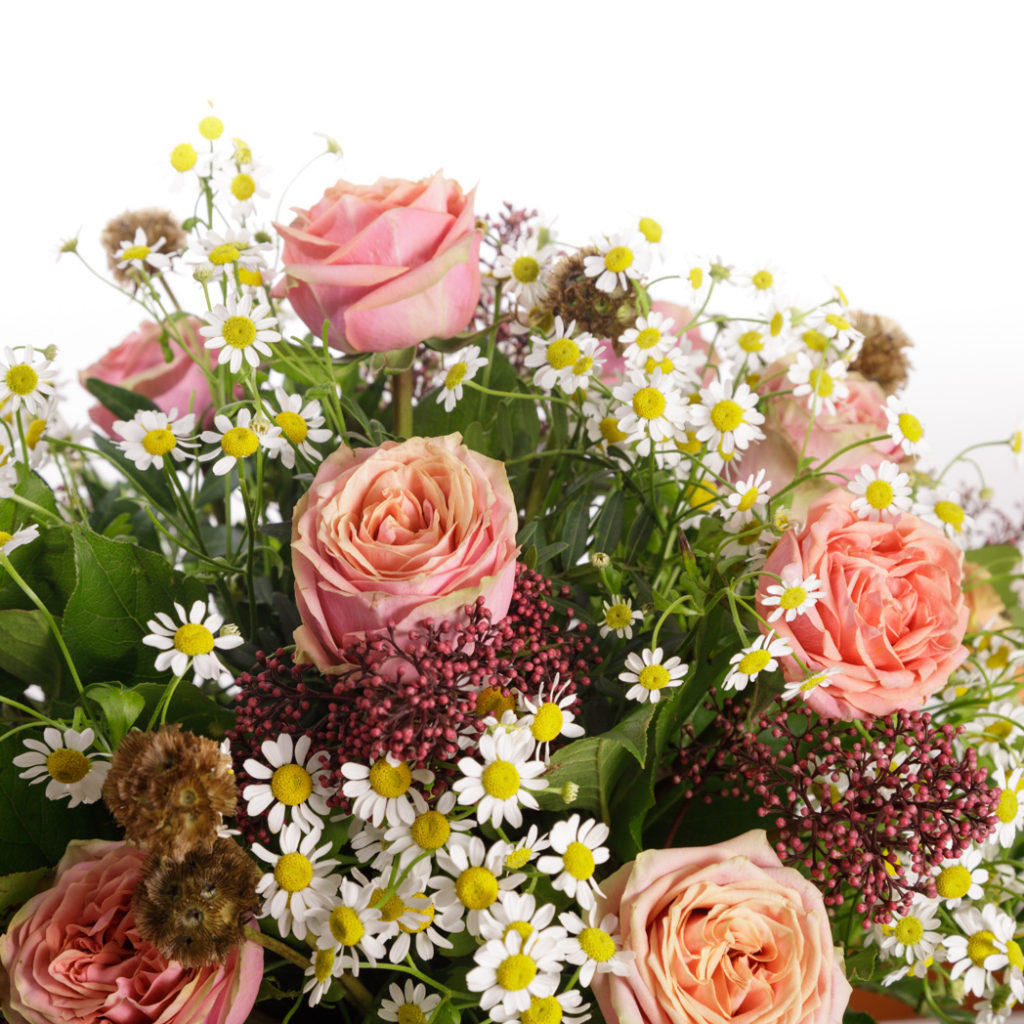 Ramo de rosas silvestre – Floristeria Fontanillas